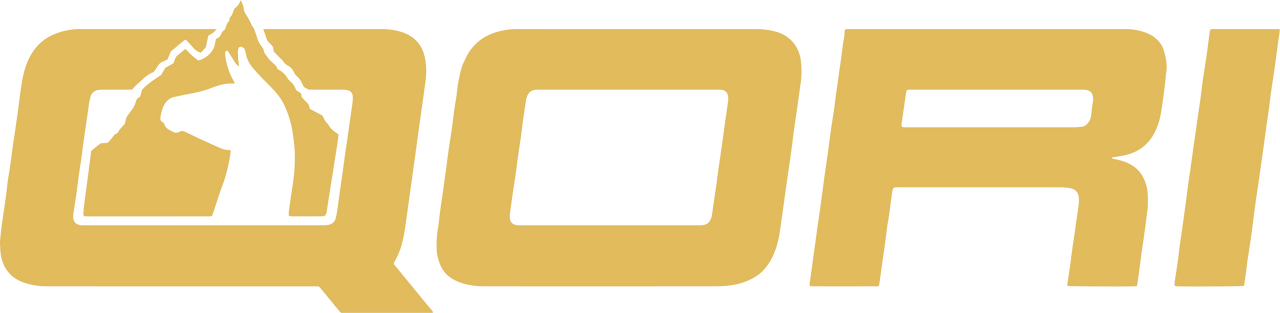 About us – Qori